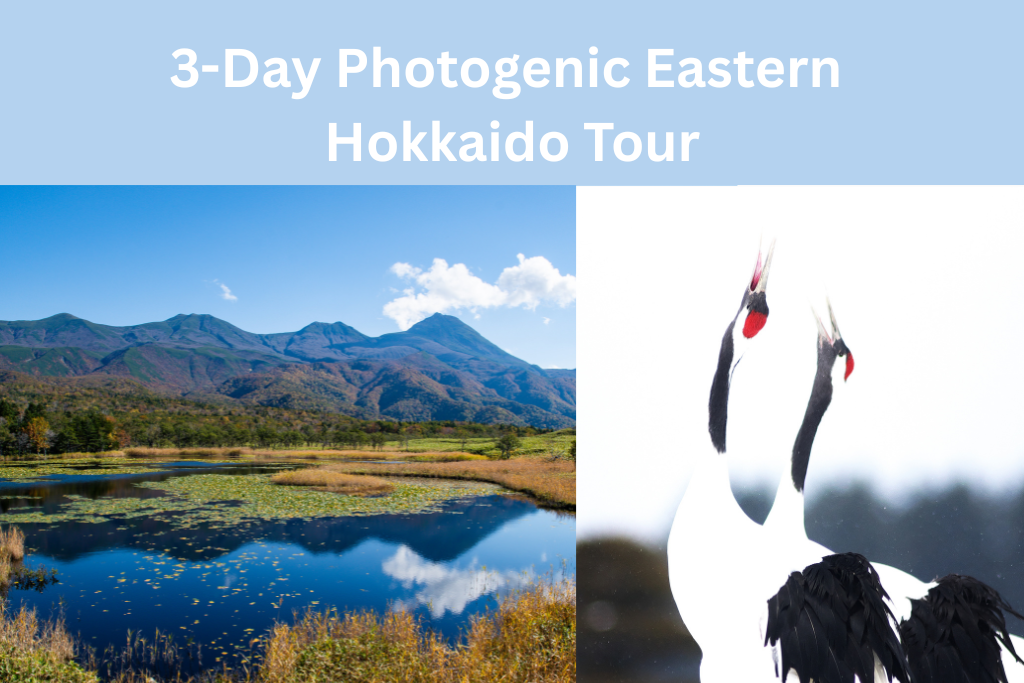 3-Day Photogenic Eastern Hokkaido Tour | Our Tours | JTB USA Honolulu ...