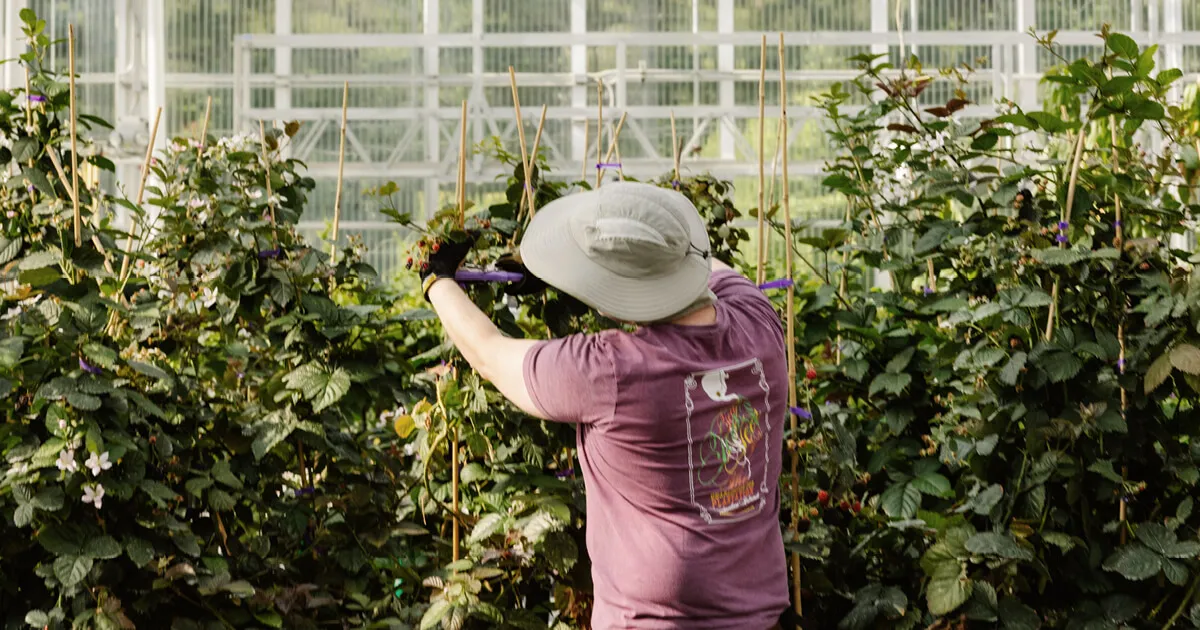 Collaborations and Products | Pairwise