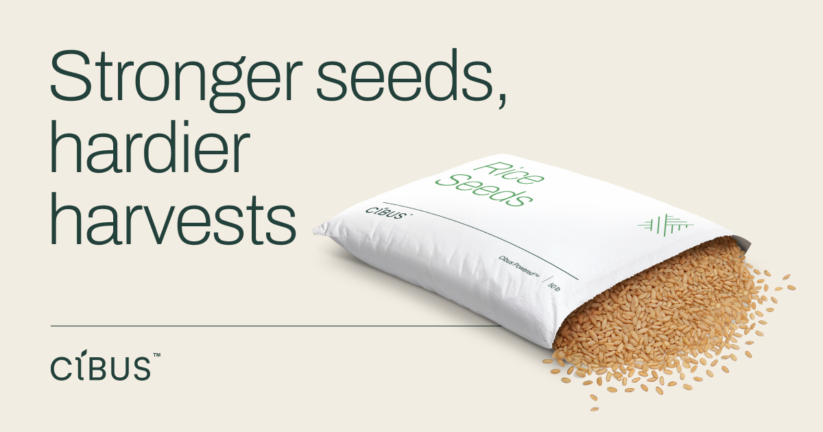 Stronger seeds, hardier harvests