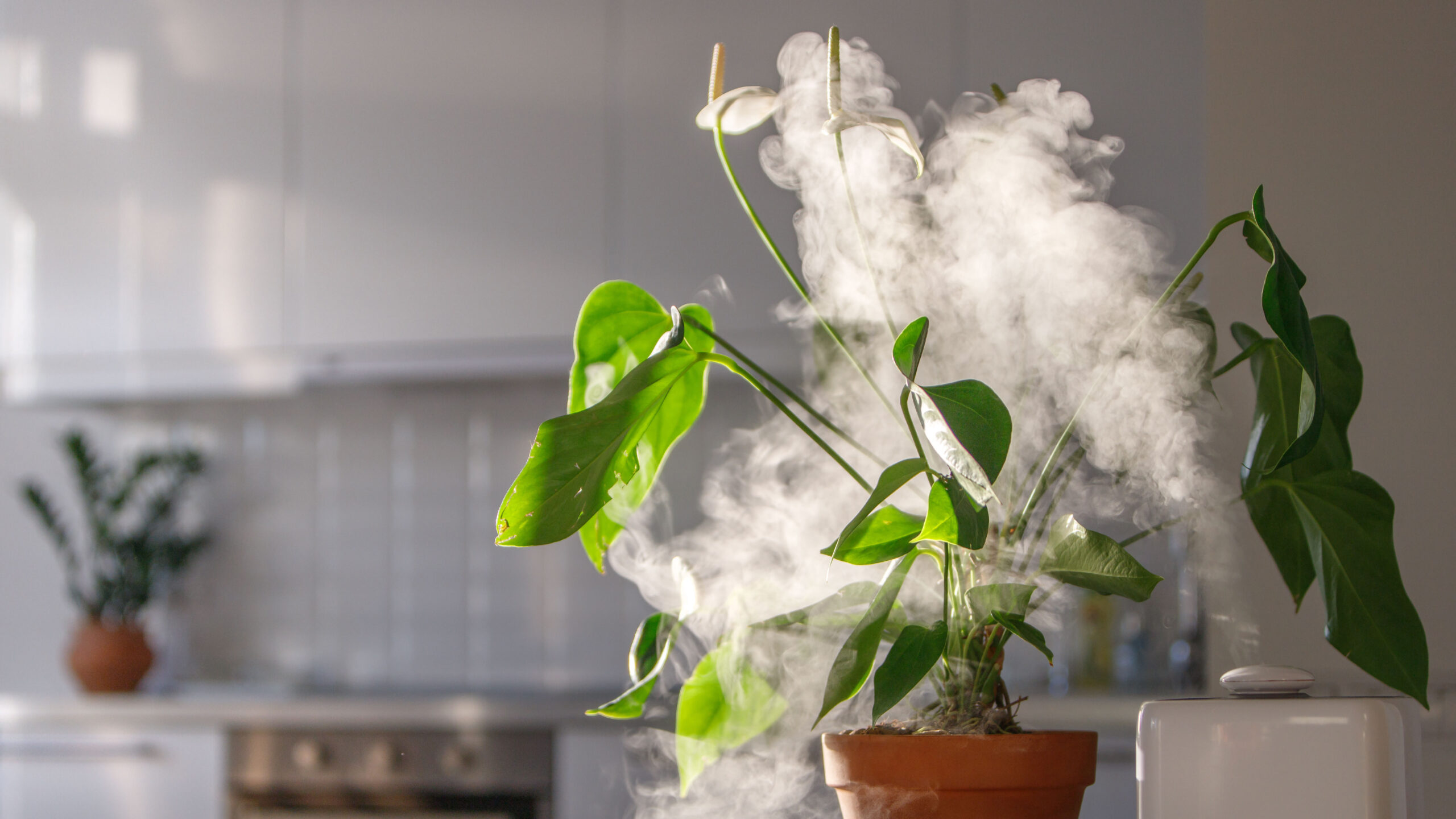 Discover the Importance of Indoor Air Quality