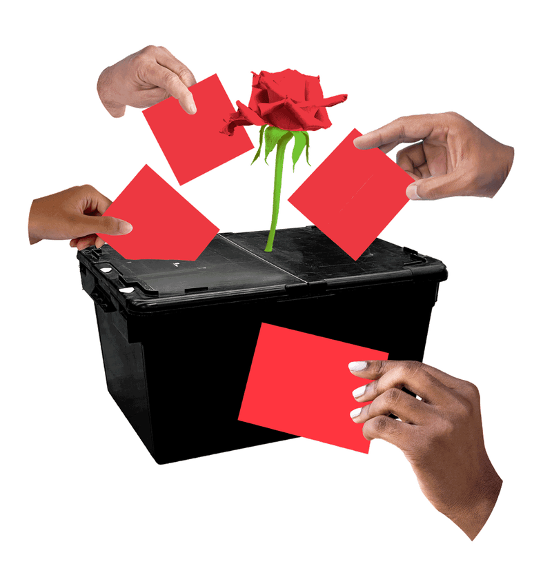2026 NEC and NPF Elections