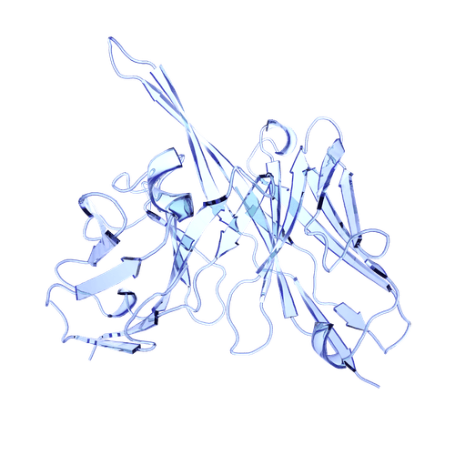 Contact Us | AVS Bio