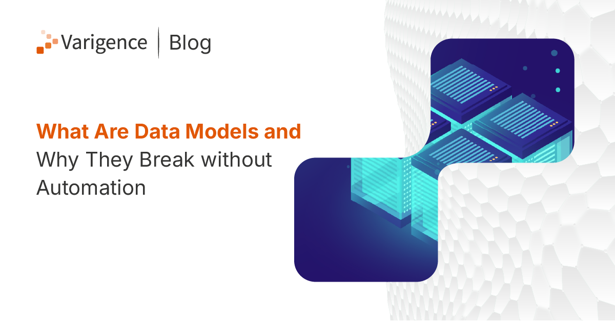 What Are Data Models | Varigence