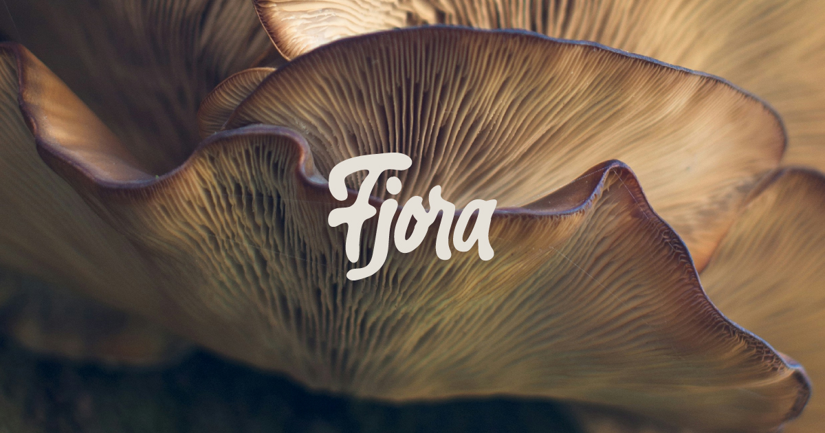 Fjora Restaurant København Indre By