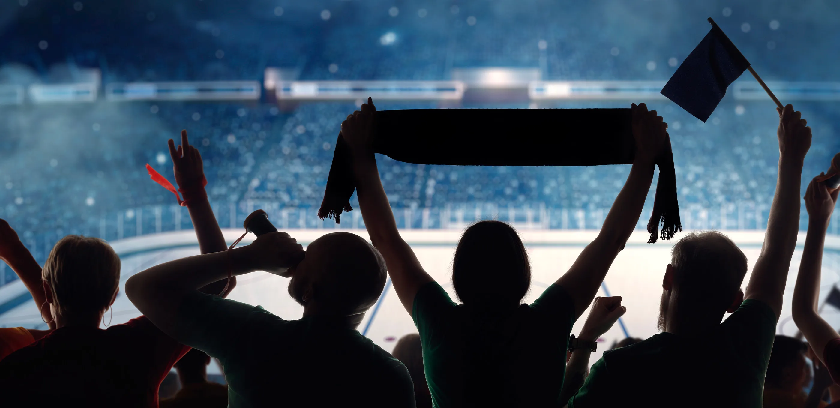 Hockey su ghiaccio | Discover Hospitality Packages