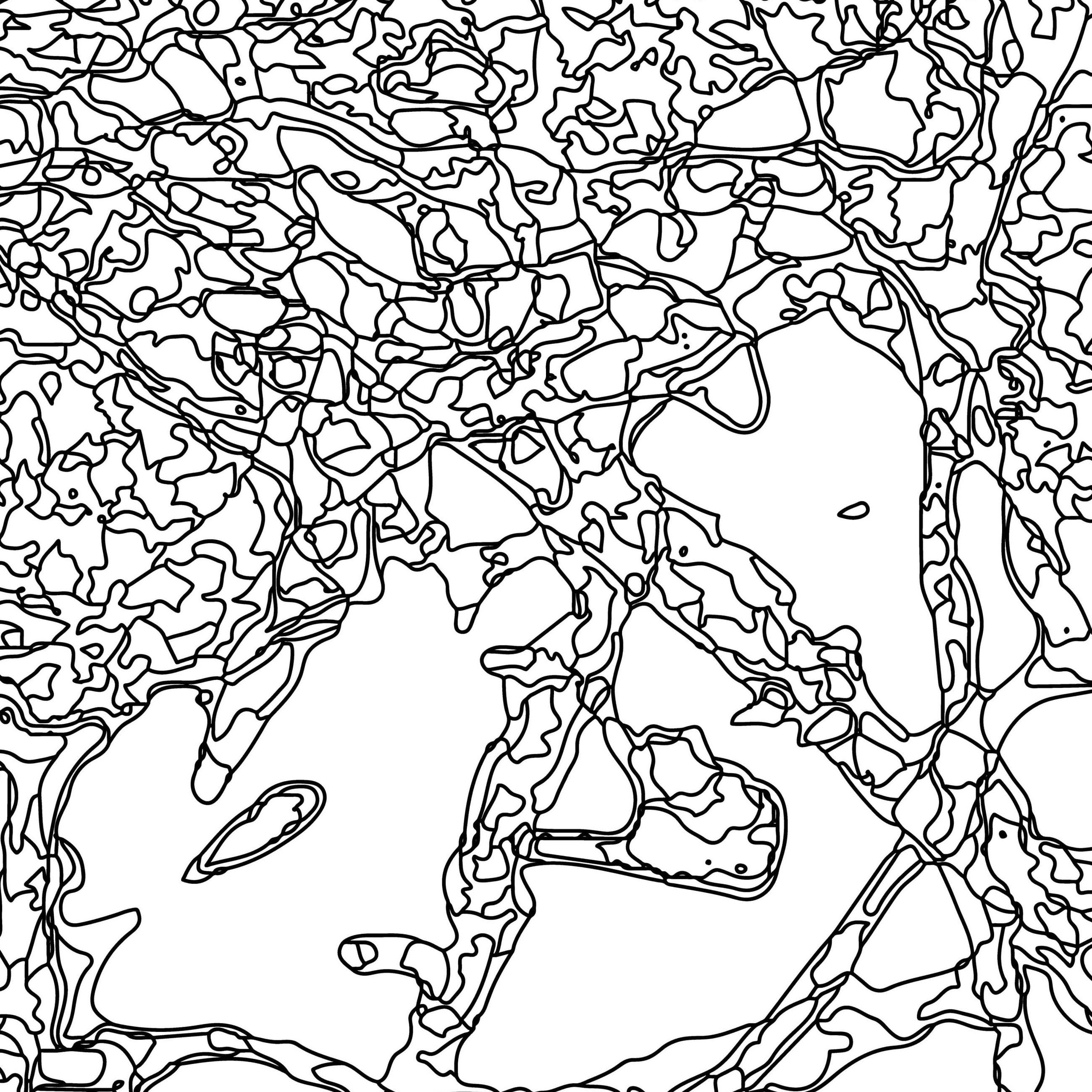 Tessel | Neural Developer Tools for Robust Medical Imaging & Pathology AI