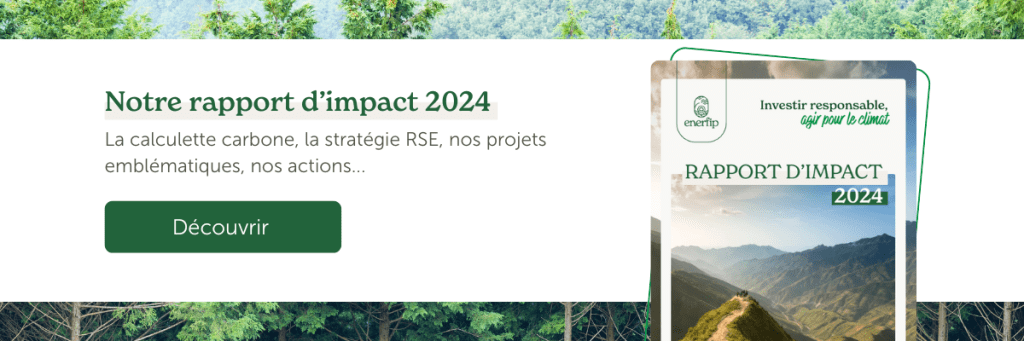 2024 Impact Report: Committing to Sustainable Finance
