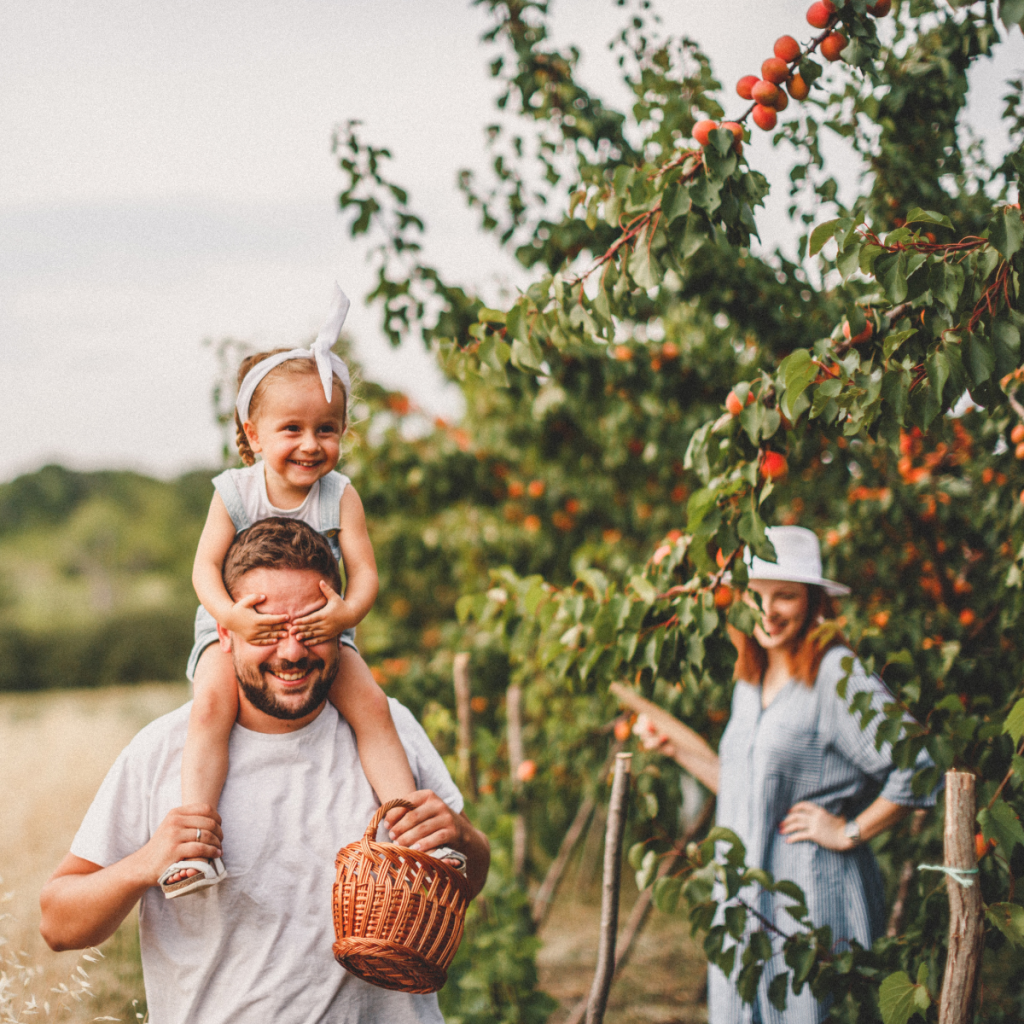 Do you know the Enerfip minor booklet? | Enerfip