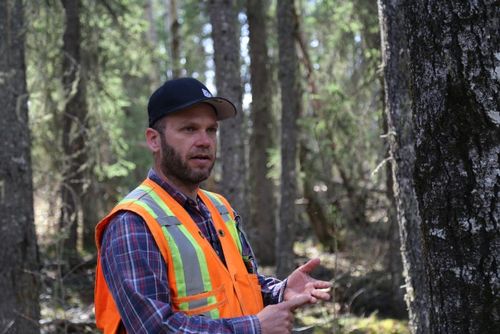 Work Wild | Forestry Careers in Alberta