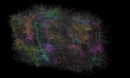 Connectivity