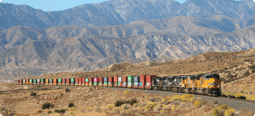 Community Infographic