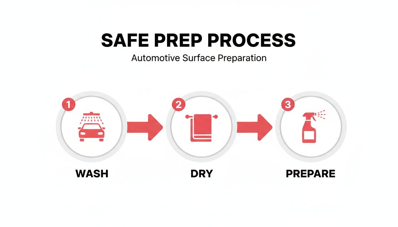 How to Safely Remove Tree Sap From Your Car - The Mobile Buff