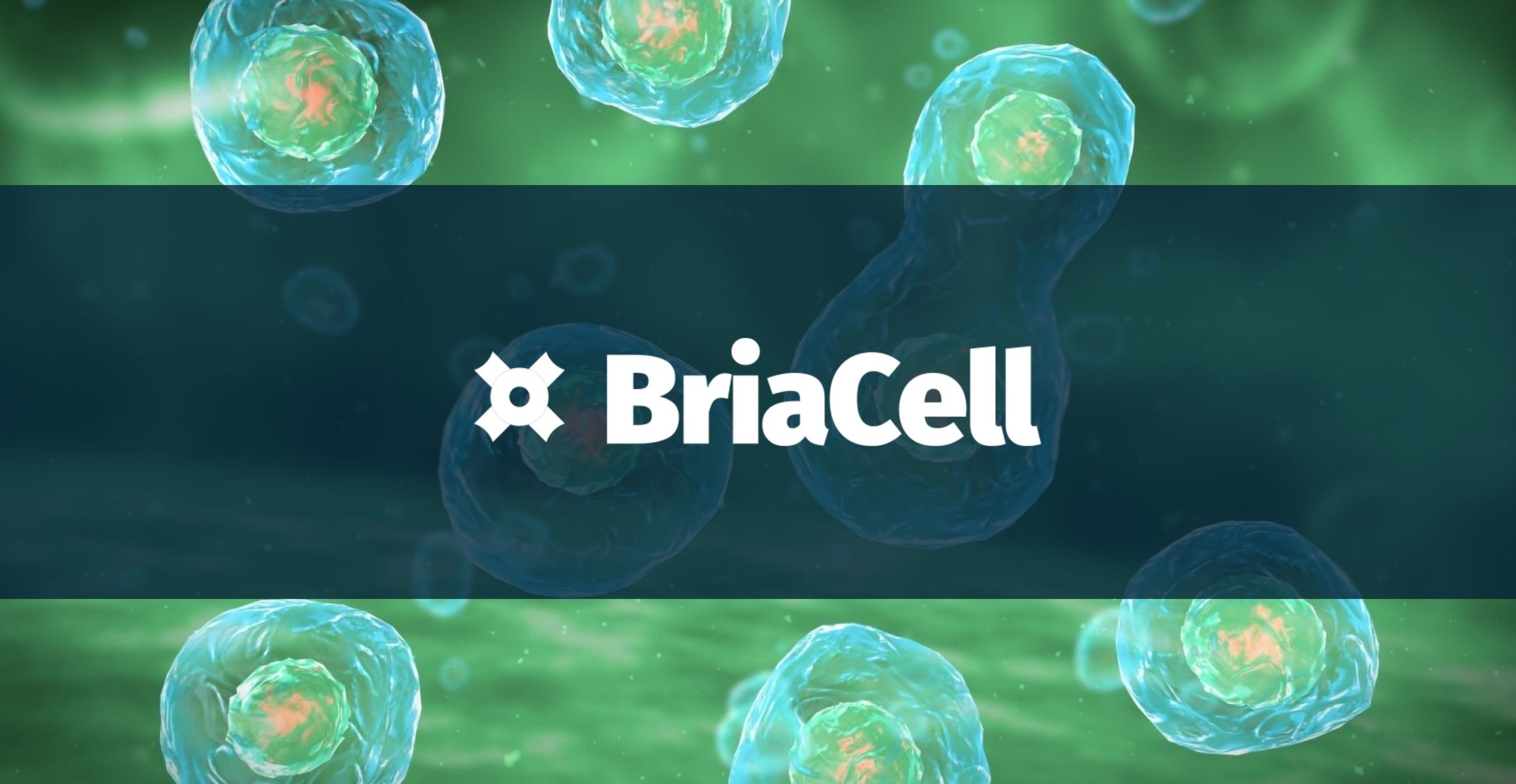 BriaCell: Advancing Toward Approval with Late-Stage Breast Cancer ...
