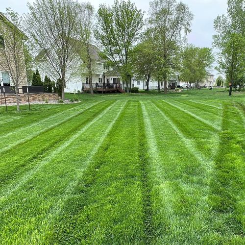 Lawn Care Services | Vargas Lawn Care in Central Iowa