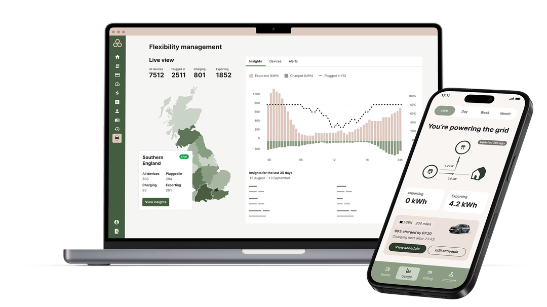 Energy Intelligence & Optimisation Software - Kaluza