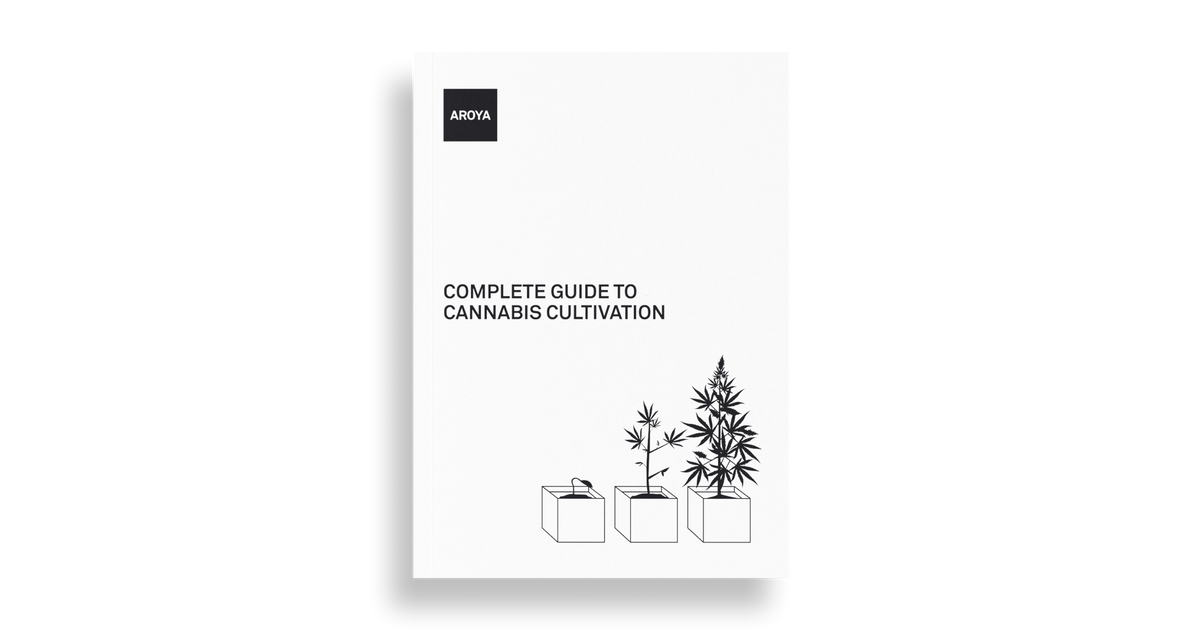 The complete guide to commercial crop steering | AROYA