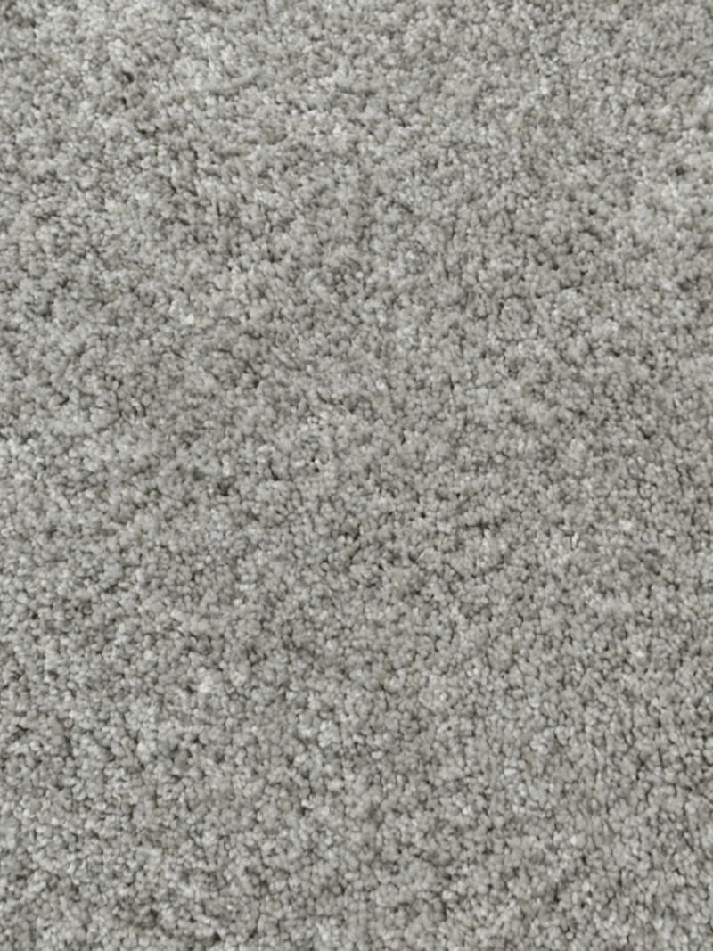 Sloane's Carpet Secret : Denver's Discount Carpet & Flooring Store