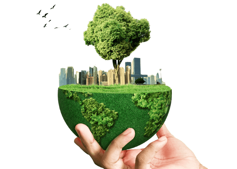 Singapore’s Council for a Competitive Climate Transition (C3T) launches ...