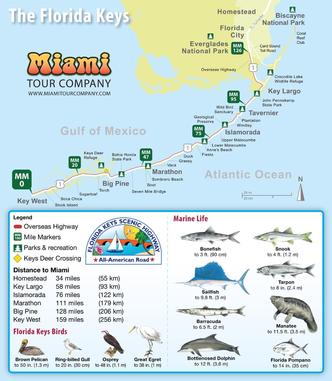 Florida Keys Map: Drive Time, Islands & Must-See Stops | Miami Tour Company