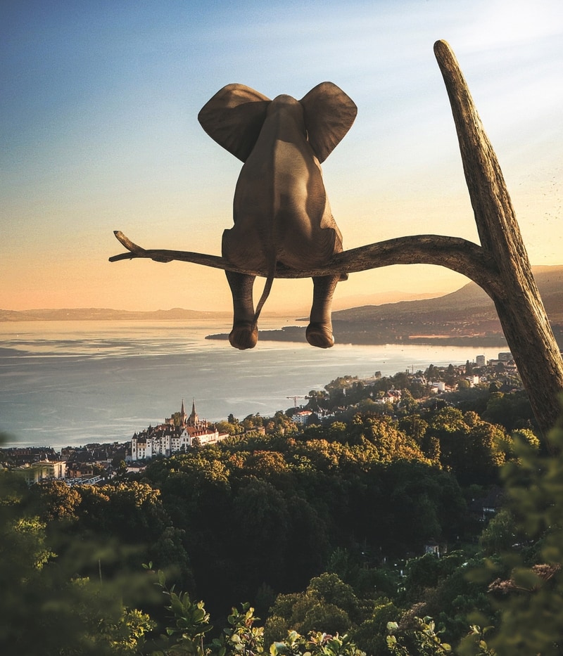 Microcity - Programme PME