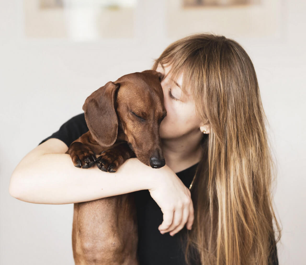 Spark - Webflow HTML Website Template