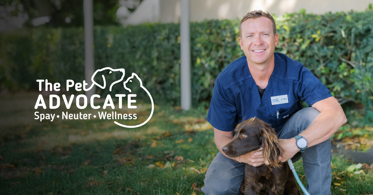 Low Cost Spay and Neuter in Tracy, CA