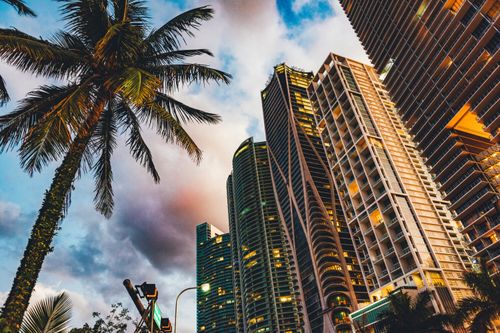Where to Stay in Miami During a Hurricane: The Elser Hotel’s Safety ...