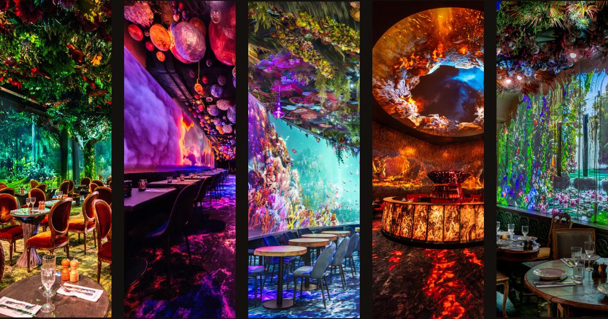 Nos restaurants immersifs | Ephemera