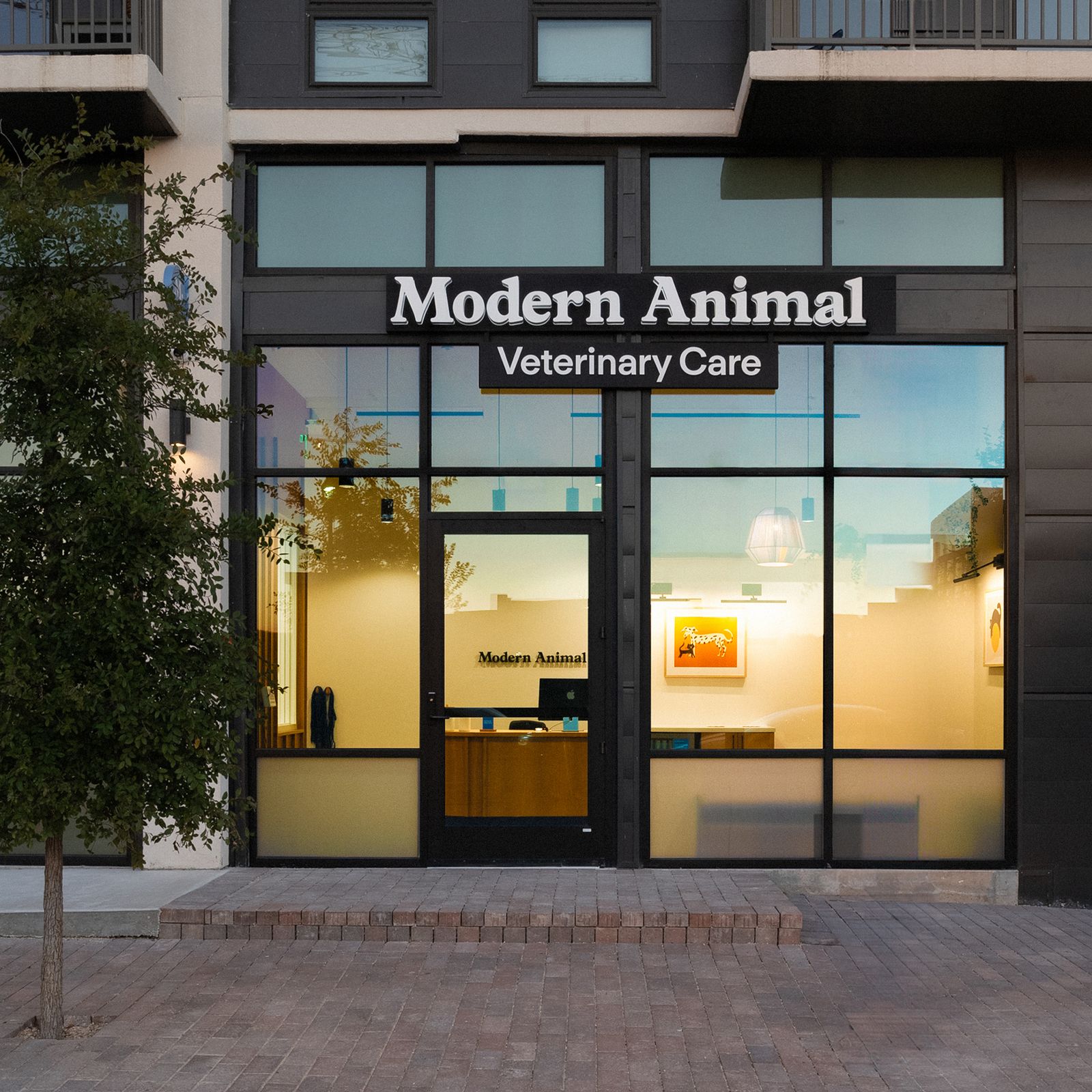 Find a vet, pet clinic, or animal hospital near you | Modern Animal
