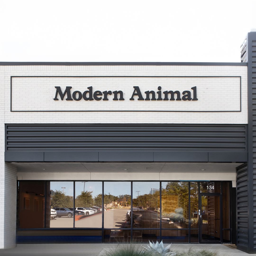 Find a vet, pet clinic, or animal hospital near you | Modern Animal