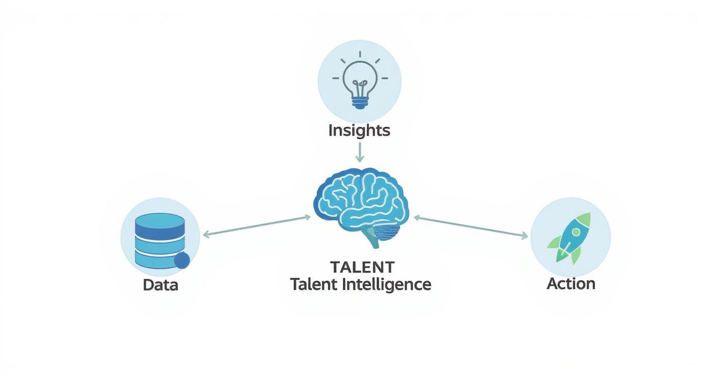 A Guide to Talent Intelligence Software | Juicebox
