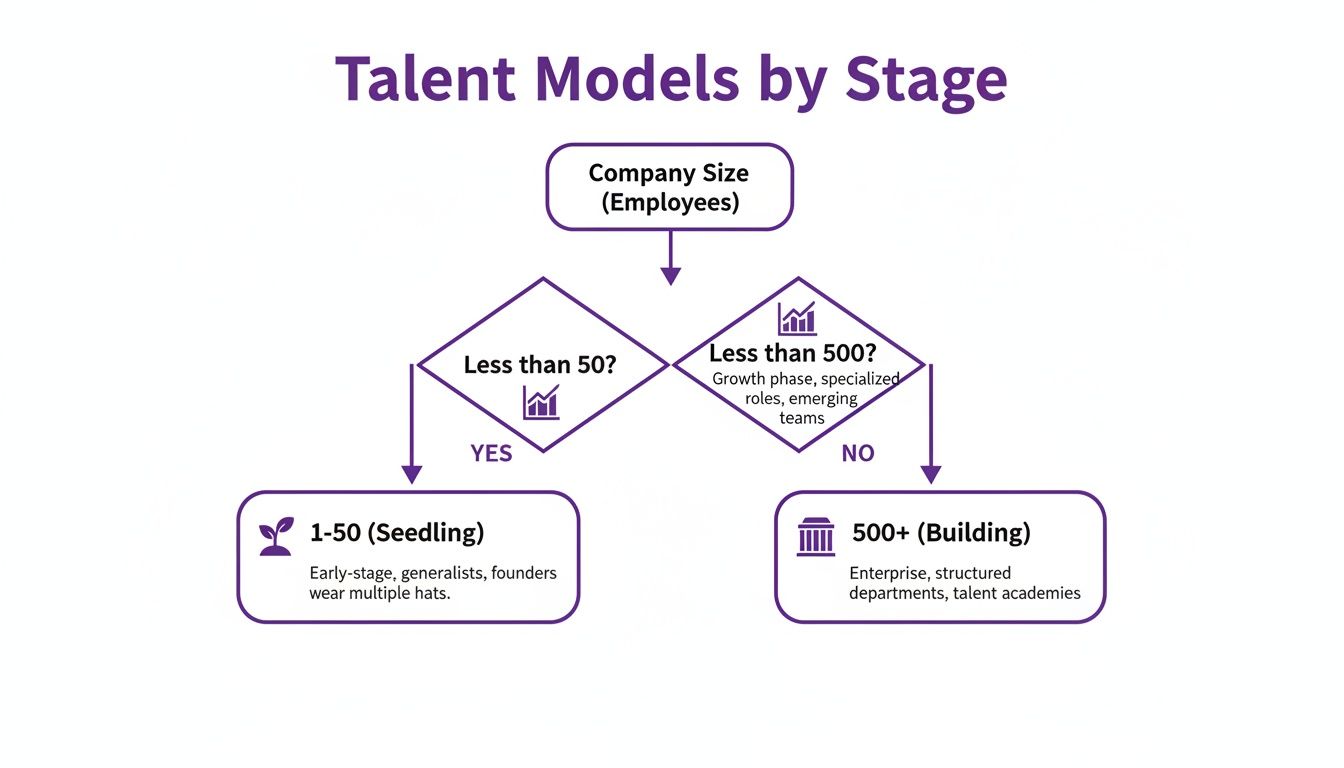 Talent Management Models Explained (How to Pick the Right One)