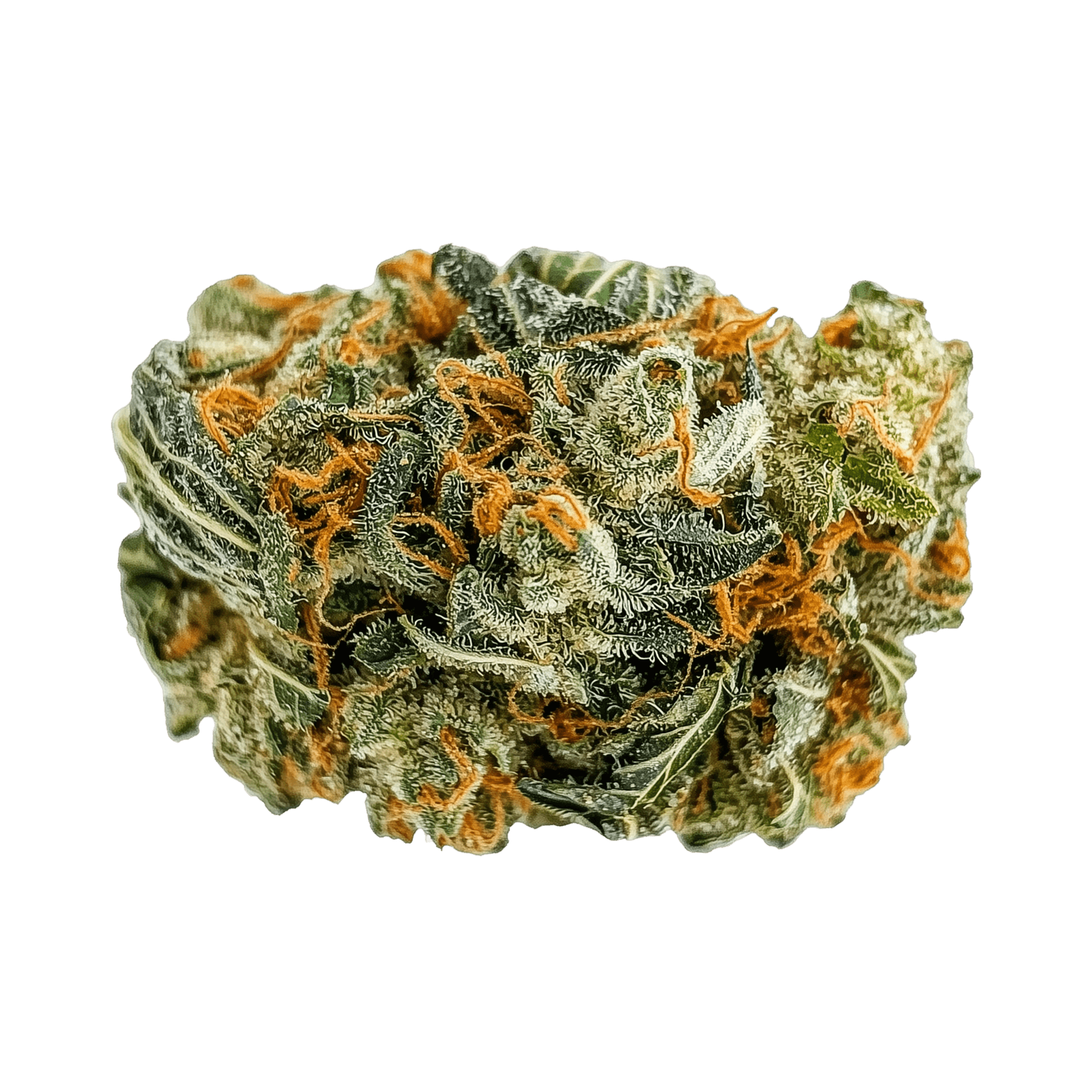 Pink Punch | Revert Strains