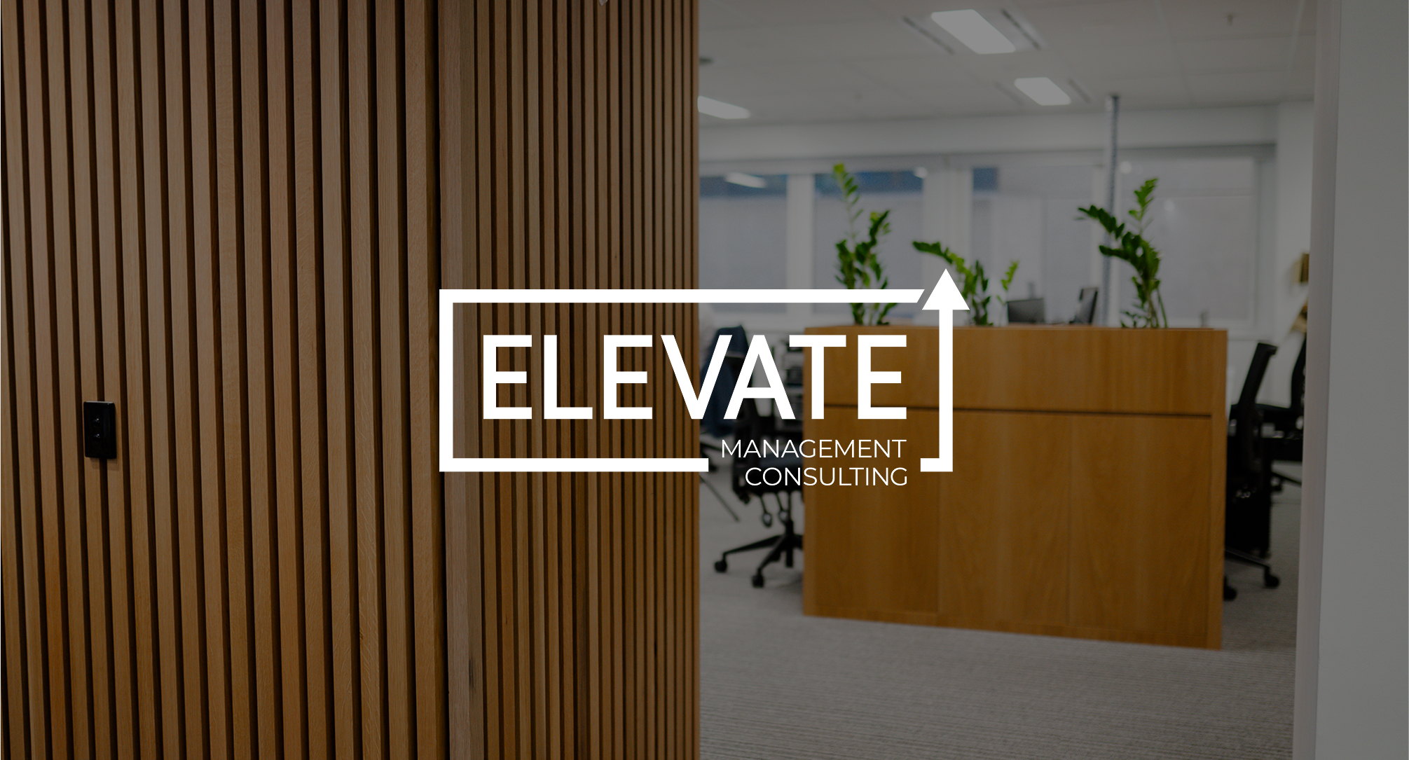 Elevate Management Consulting