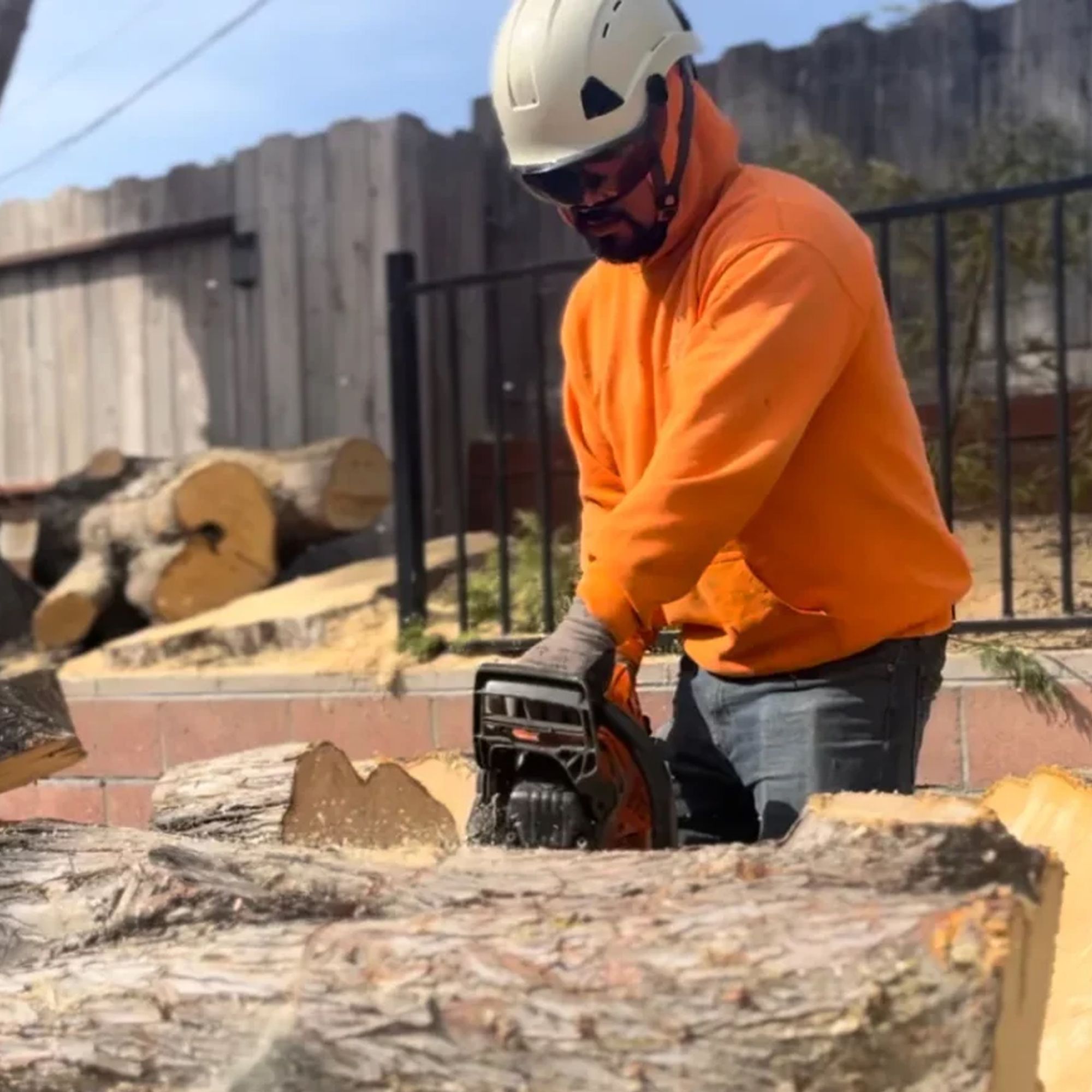 Learn More About Central City Tree Services | Santa Maria, CA