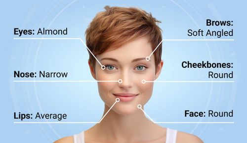 Open Source Deep Face Analysis Library - 2D&3D | InsightFace