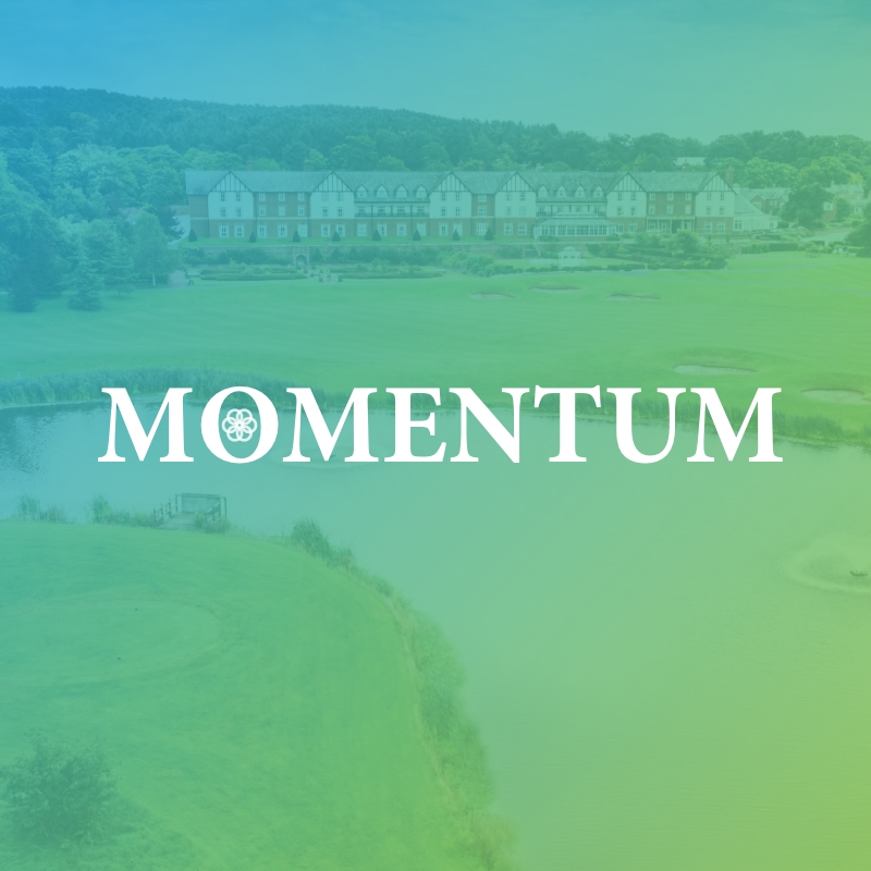 Momentum | Network Group