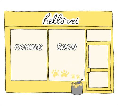 London Fields, Hackney & East London Vets | Hello Vet