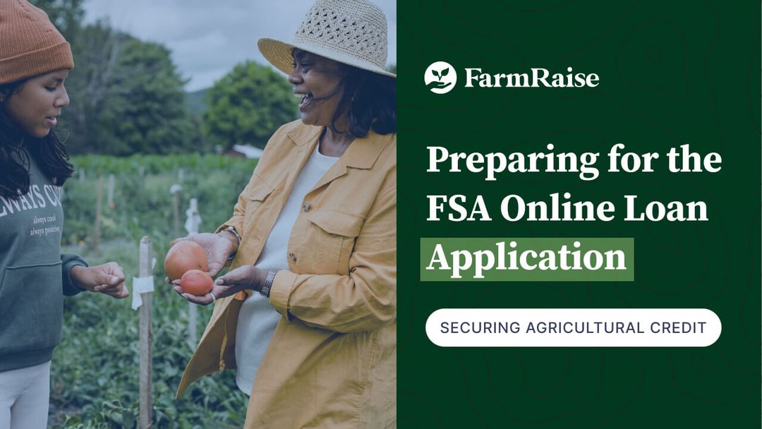 USDA-FSA Dashboard