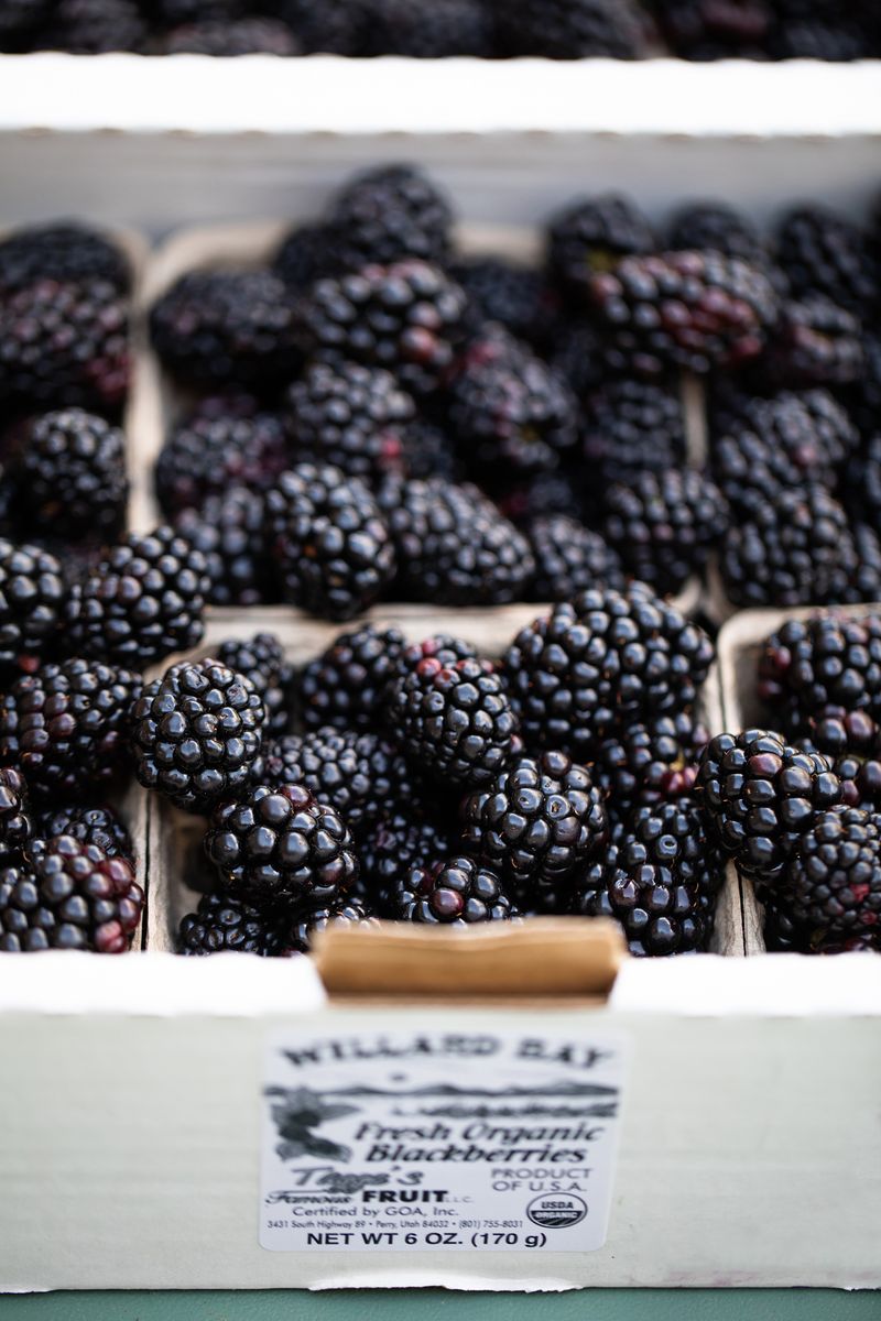 Tagge’s Famous Fruit & Veggie Farms | Utah Fresh Produce Since 1977