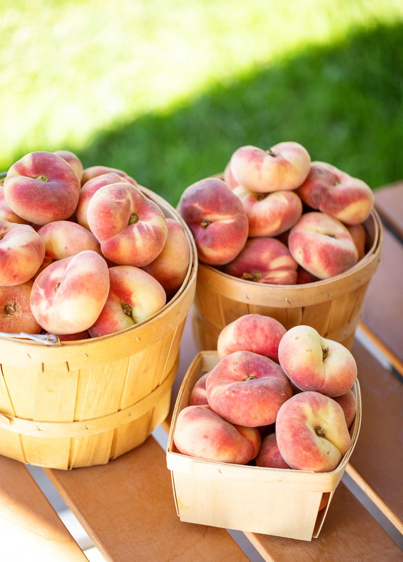 Tagge’s Famous Fruit & Veggie Farms | Utah Fresh Produce Since 1977