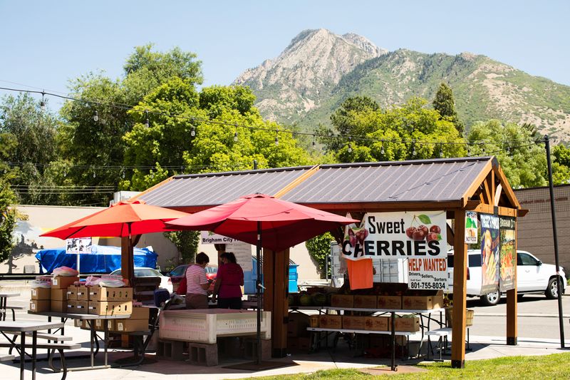 About Tagge’s Farms | Utah Family Orchard & Famous Fruit Stands