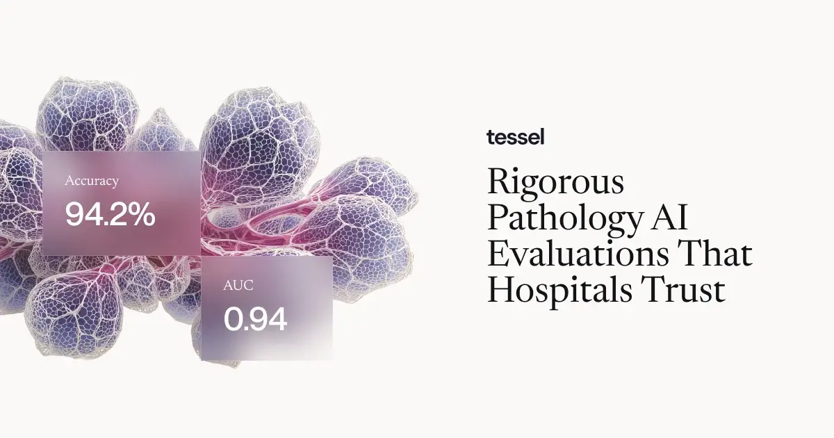 Rigorous Medical Imaging AI Evaluation for Hospitals | Tessel AI