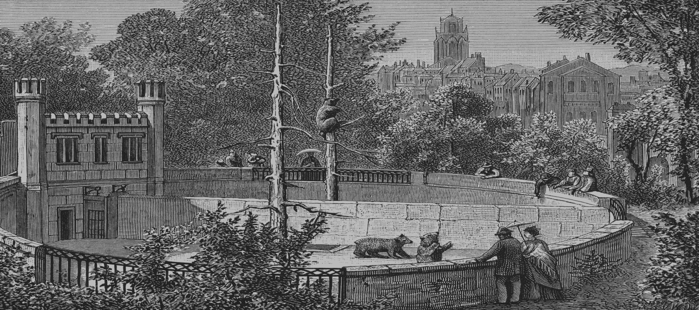 Karriere bei Gilomen & Brigger – Offene Stellen & Praktika in Bern