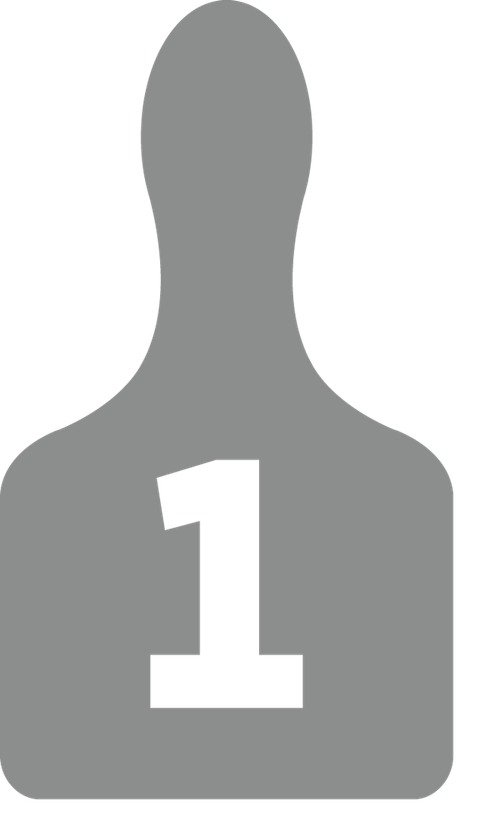 Sandpiper PPG1077-2 Paint Color | Glidden