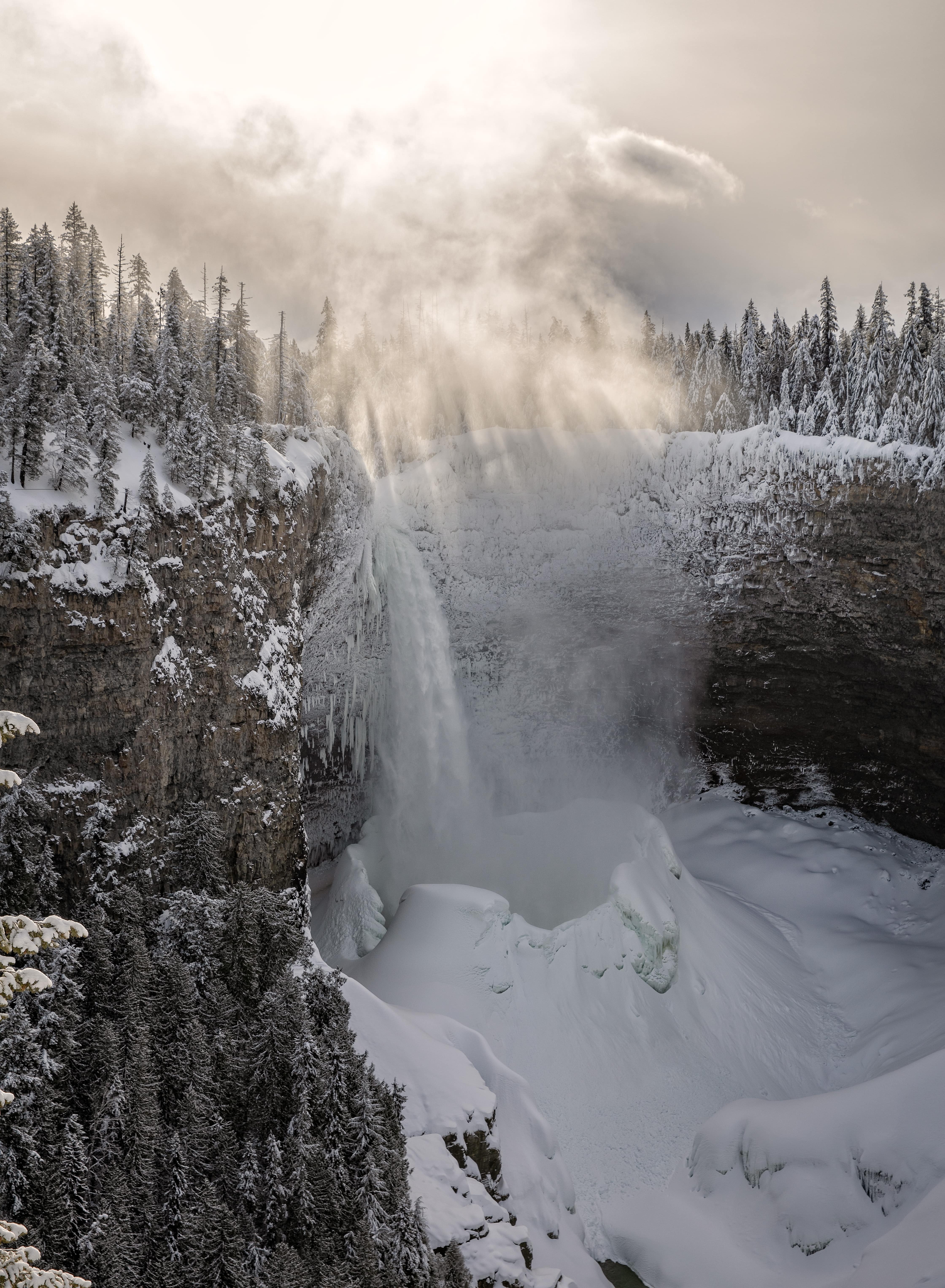 Home - BC Conservation Fund