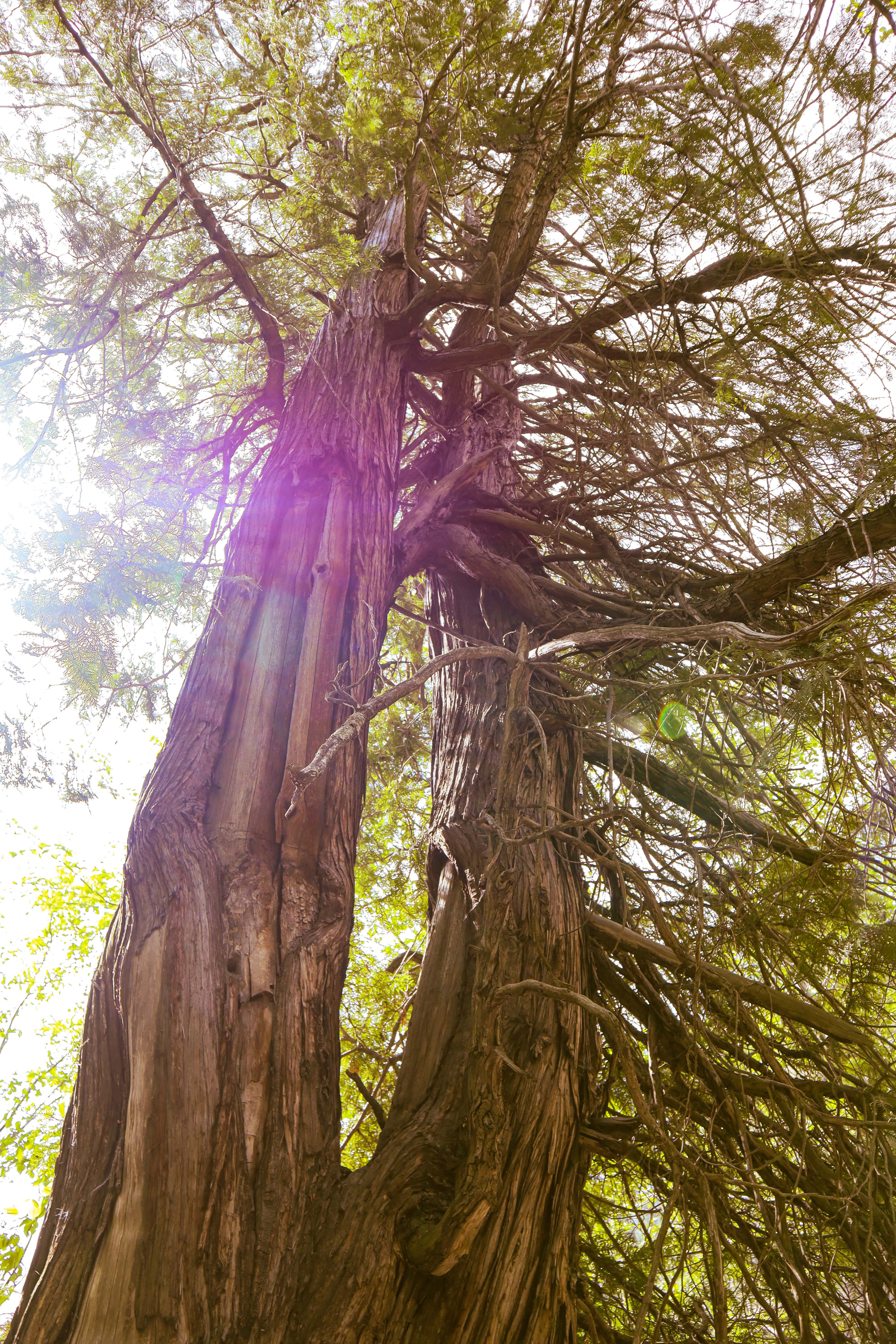 Project Grants - BC Conservation Fund
