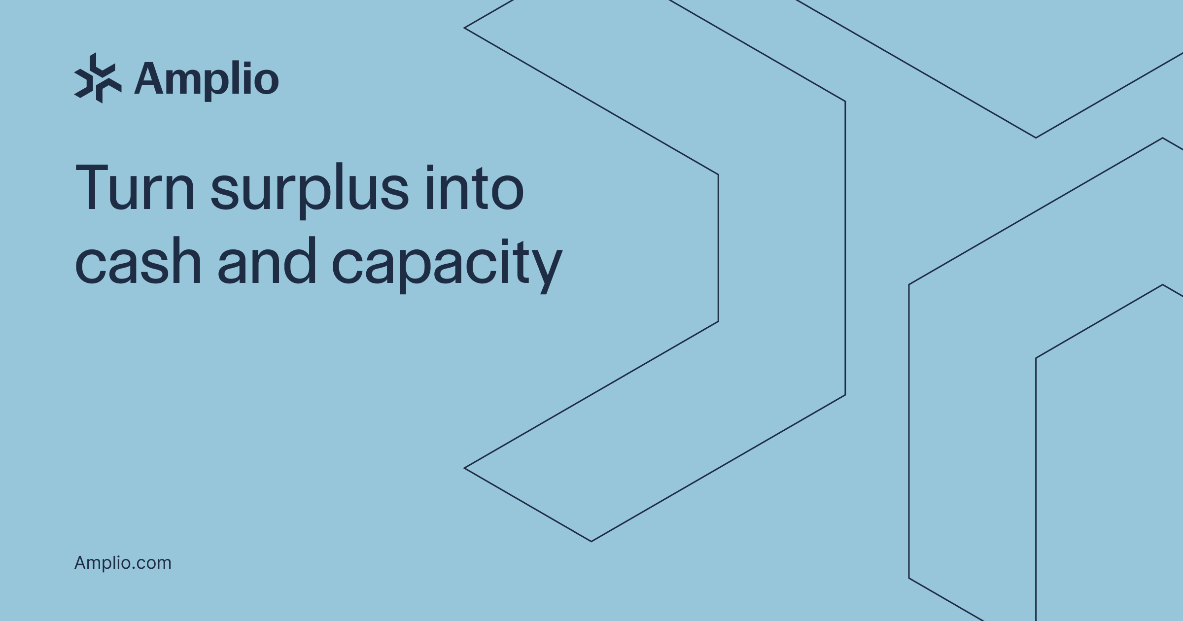 Excess Inventory Solution - Amplio