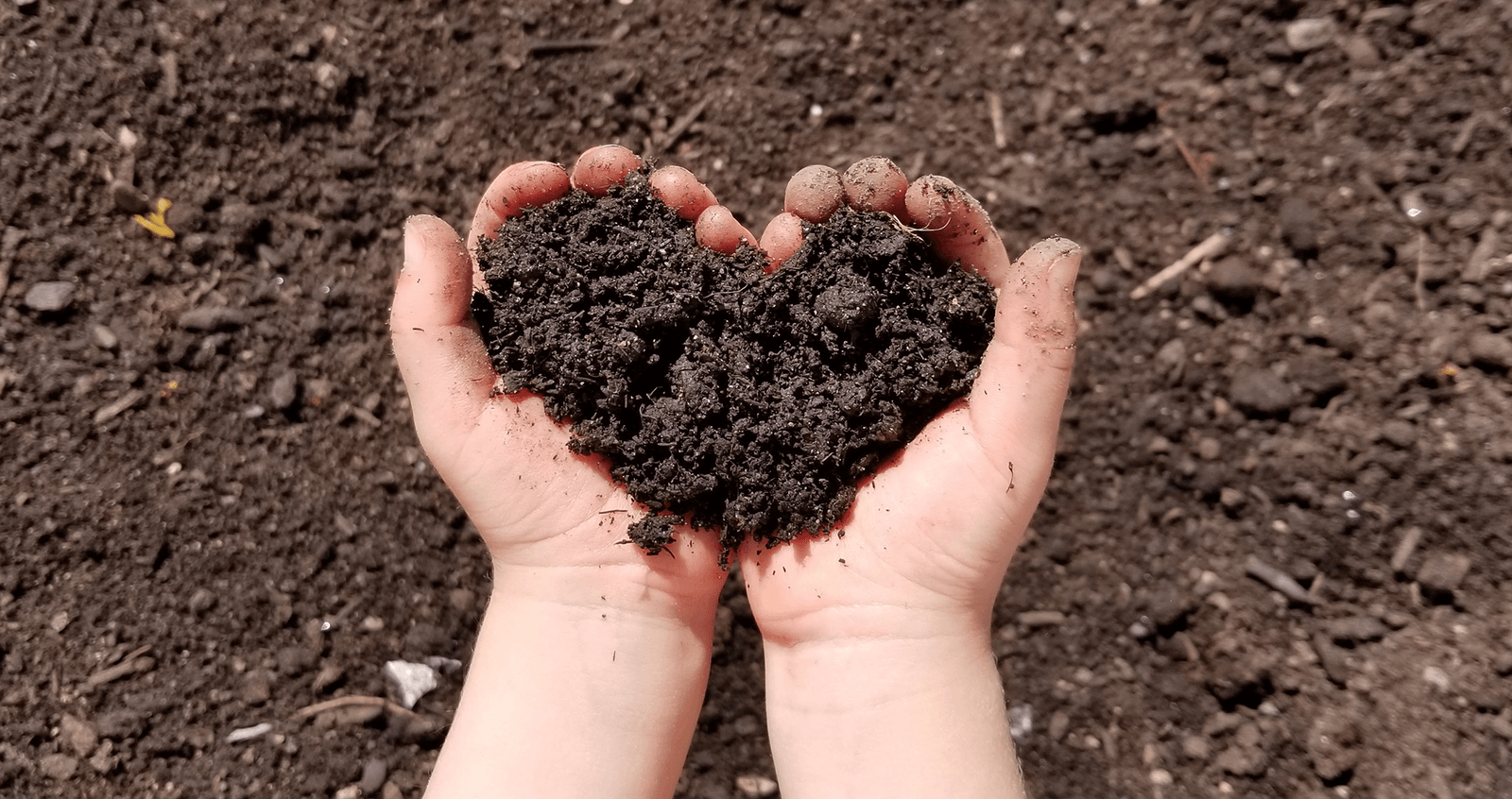 Compost, Soil & Mulch Products | Black Earth Compost
