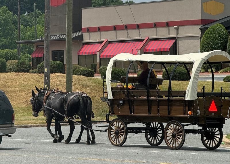 Used Wagons For Sale | Weaver Wagons - Dalton, OH